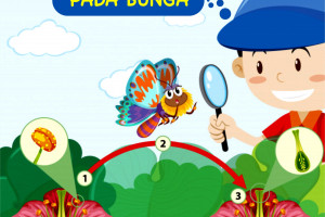 Proses Penyerbukan Pada Bunga